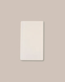 In Common With | Scala Flush Mount